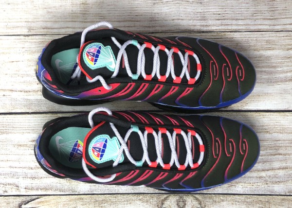 Nike Air Max Plus Review - Soleracks